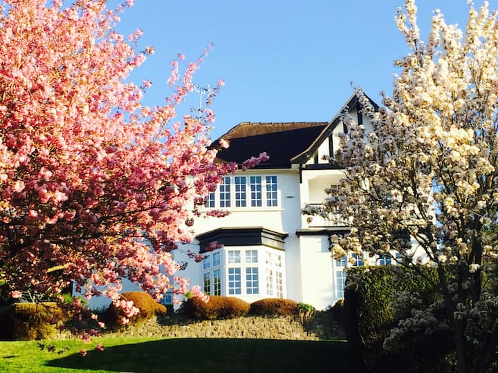 Ensuite Double In Edwardian House Near Bath - Bristol