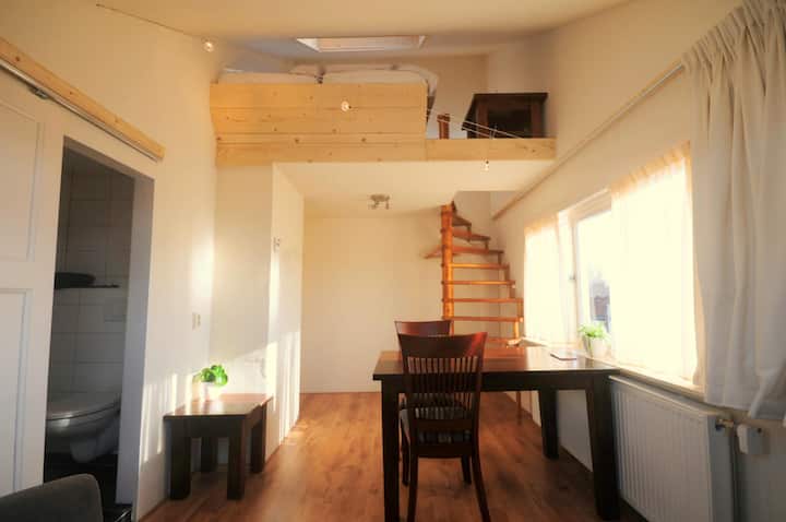 Light And Specious Room - Enschede