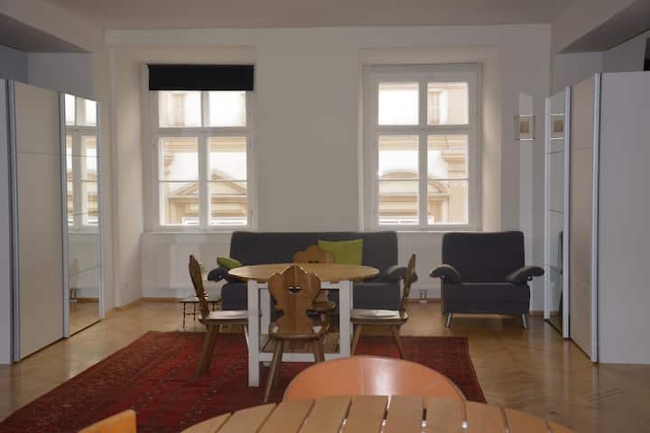 Spacious Loft - Inner City - Graz