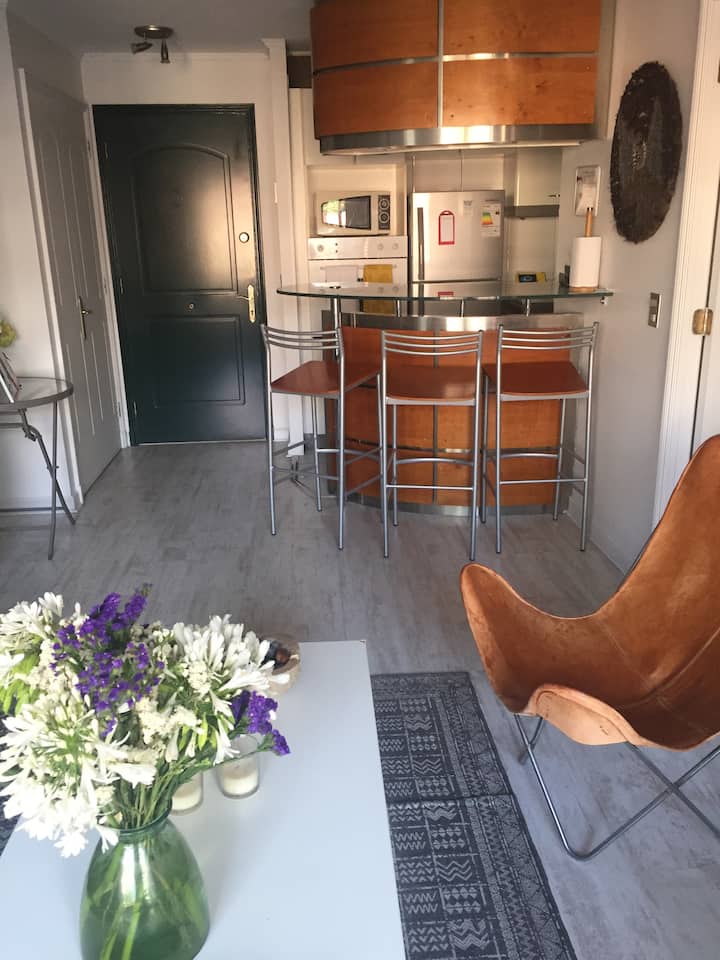 Departamento Amoblado , Barrio El Golf - Las Condes