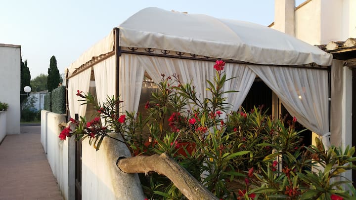 Bienvenue  à L'etrier Camarguais - Saintes-Maries-de-la-Mer