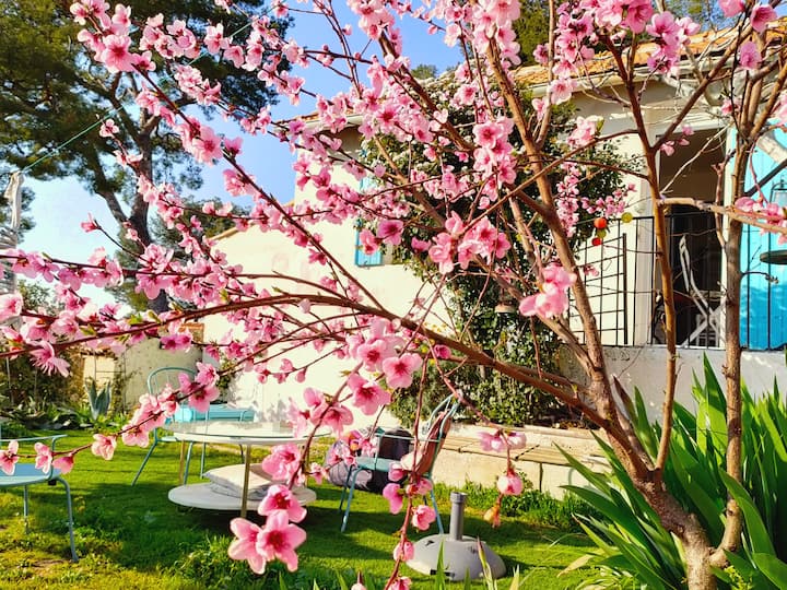 Maison Avec Jardin Vue Panoramique Sur Marseille - Calanque d'En-vau