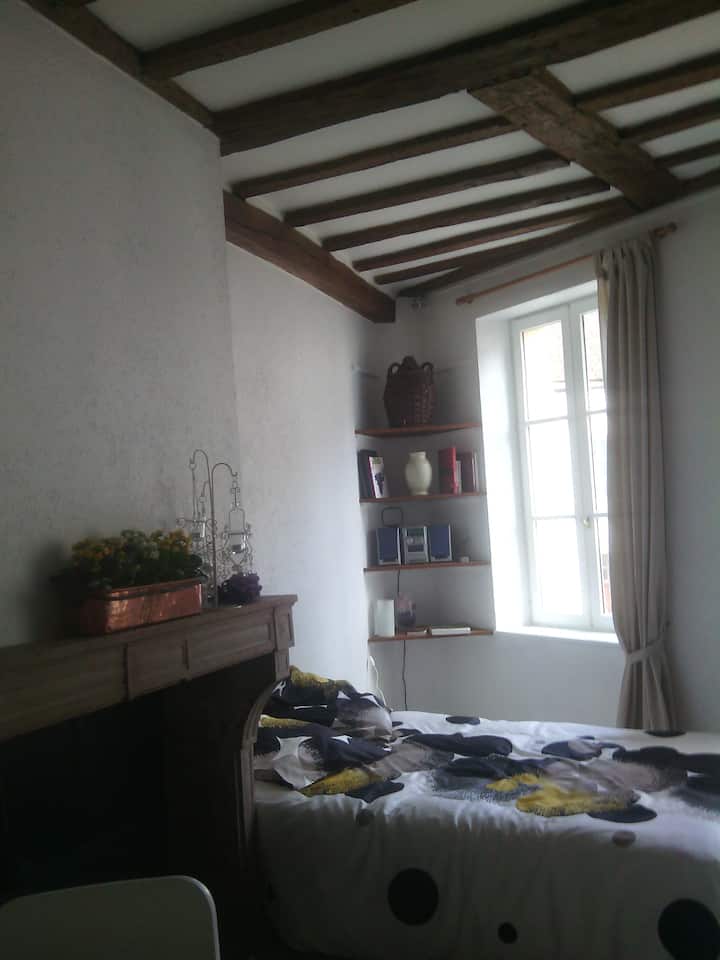 Au Coeur Du Centre Historique De Beaune - Beaune