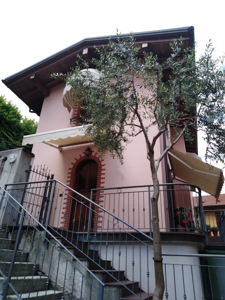 L'ulivo - Omegna