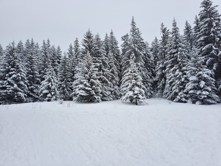 Appartement En Montagne Pied Des Pistes Ski Vtt .. - Villard-de-Lans
