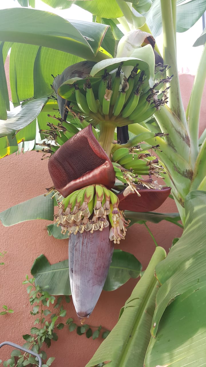 Villa Keur Lily Saly Darou Niakh Niakhal - Senegal
