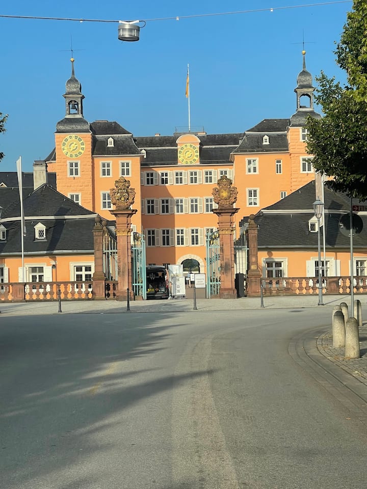 Mozart Suite - Mannheim