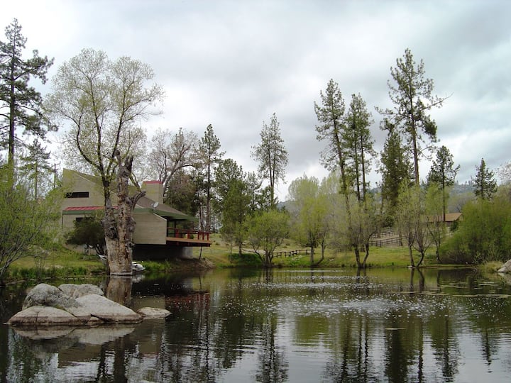 Architectural Sanctuary 5 Miles From Idyllwild - Idyllwild-Pine Cove, CA