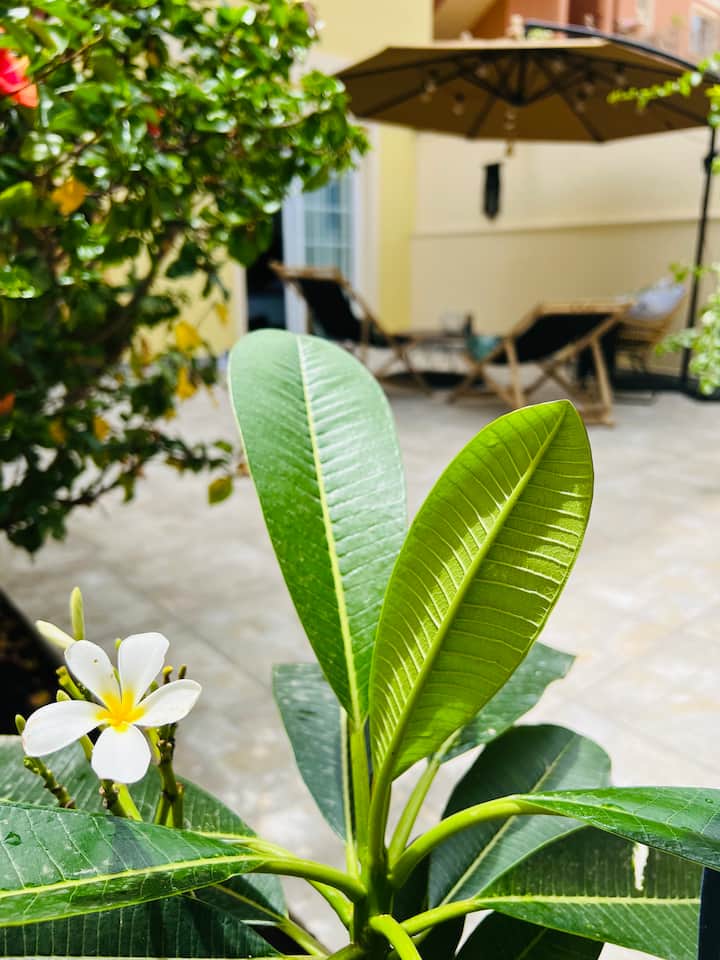 “Casa Legend Tenerife”. Pool, Garden, Bbq, Terrace - Los Cristianos