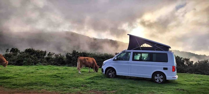 Brand New Vw Califórnia Ocean - 