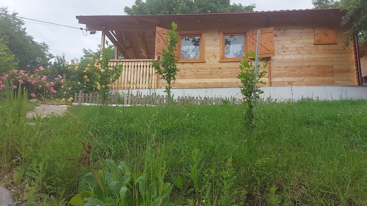 Casa Sofia - Apoldu de Jos