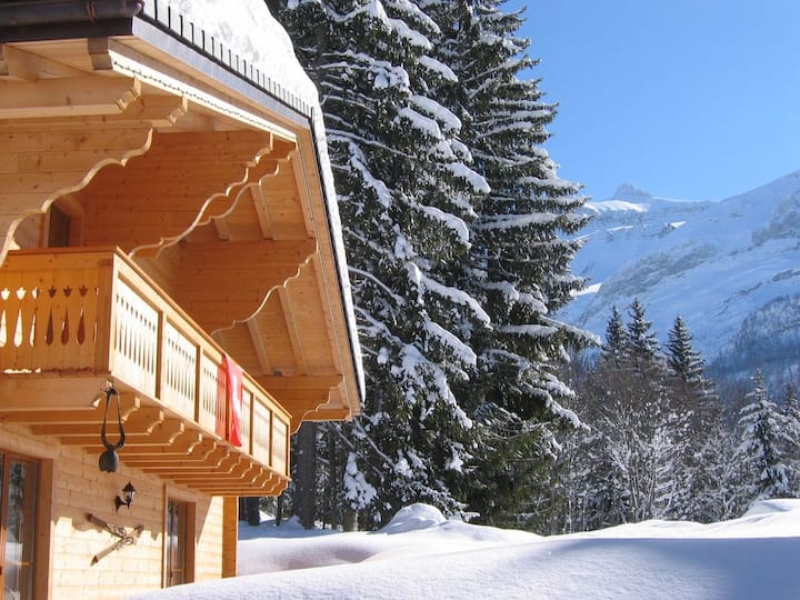 Les Diablerets, Grand Chalet Vue Glacier - Les Diablerets