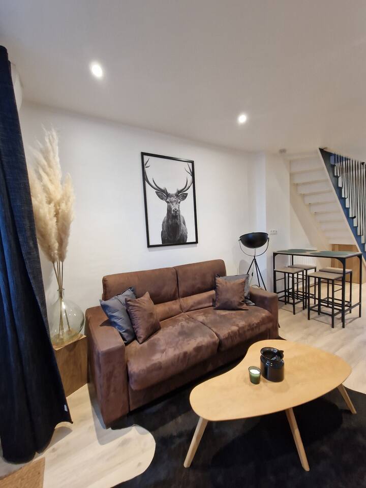Appartement Cosy Centre-ville - Lamotte-Beuvron