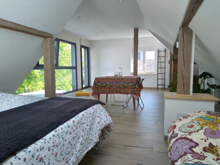 Chambre En Grange - Strasbourg