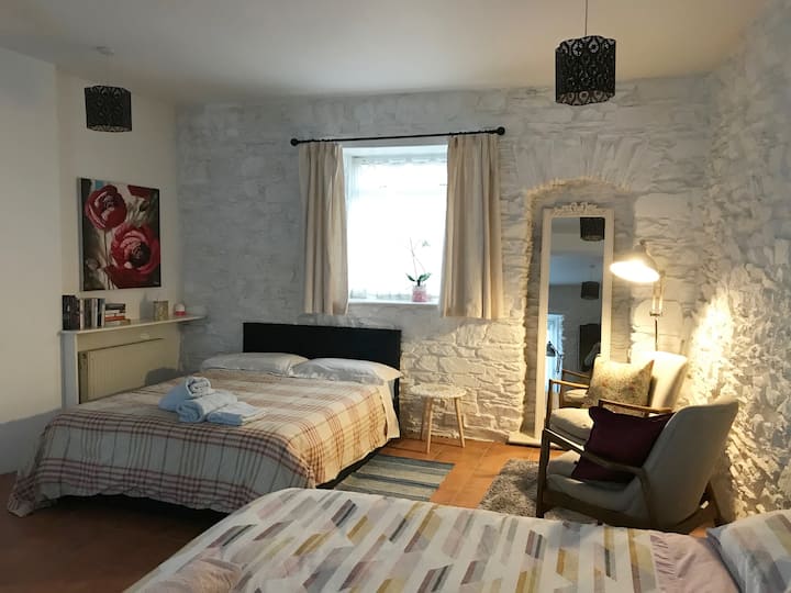 The Blue House - Entire Ground Floor For Guests - Cobh