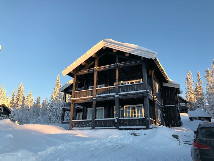 Flott Og Moderne Leil. I ÅRebjörnen. Ski In/out - Sweden