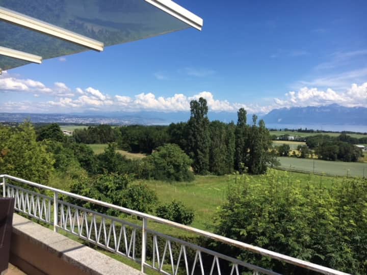 Villa Indépendante Avec Vue Sur Le Lac Et Jardin - Morges
