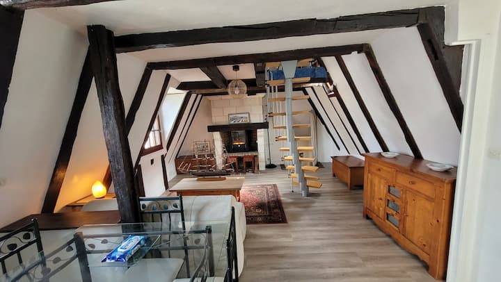 Charmant Duplex Vieux Tours - Tours