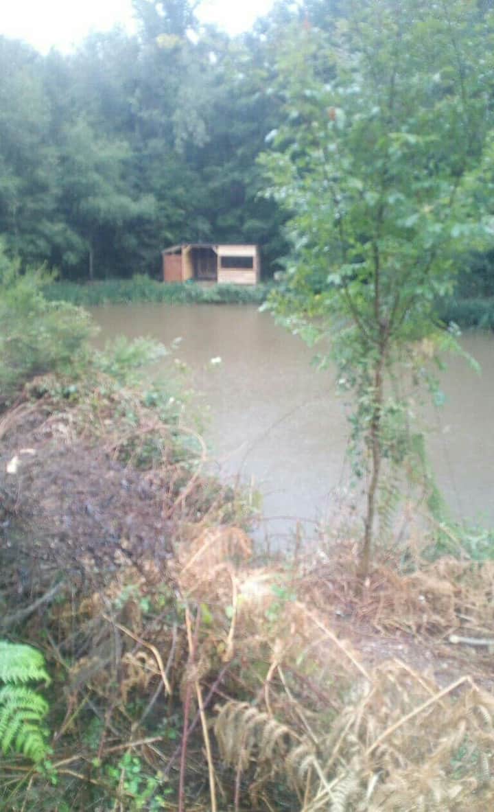 Domaine Des Fées En Brocéliande - Paimpont