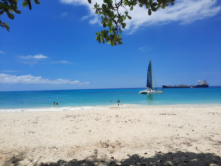 Near Dover Beach