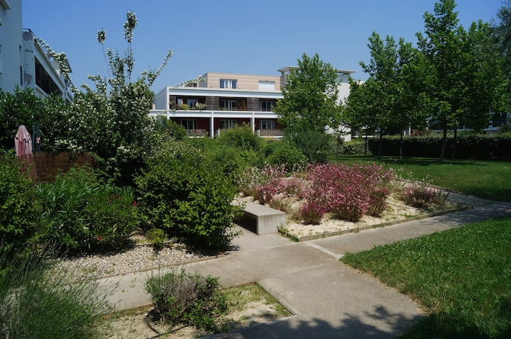 Appartement Piscine Centre Avignon Semaine Weekend - Avignon