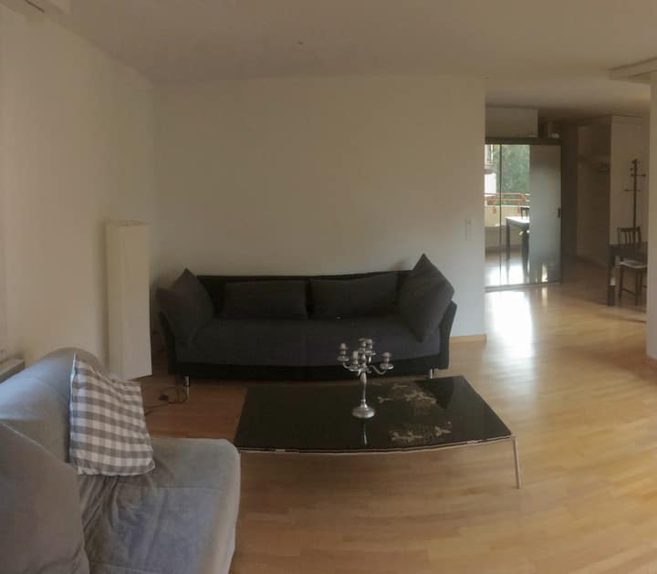 Large Flat @ Good Location - Rapperswil-Jona