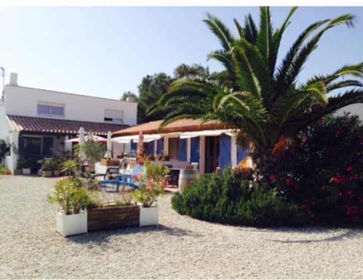 La Nature Et Le Soleil - Saintes-Maries-de-la-Mer