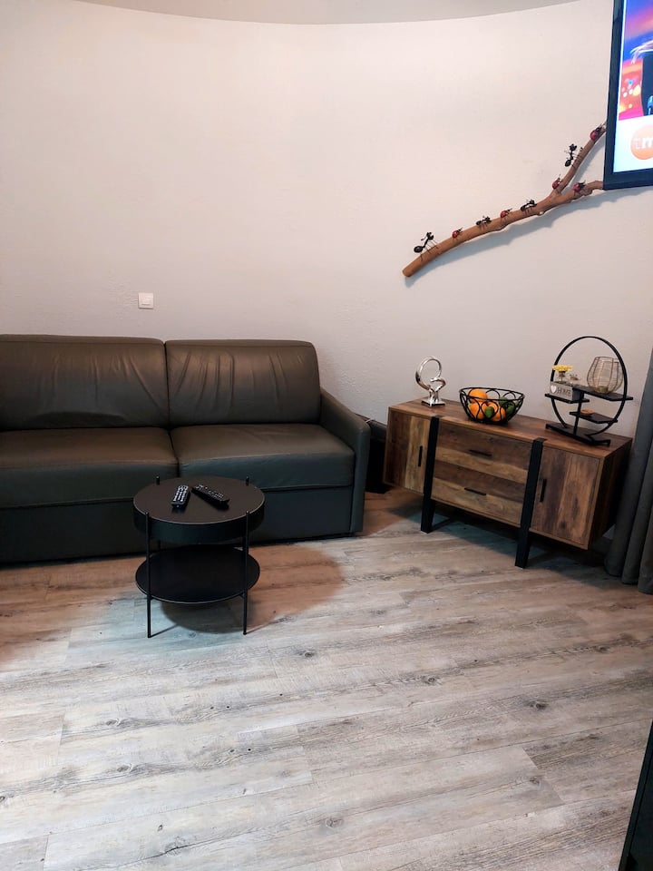 Mas Clôturé Avec Clim Et Wifi - Le Barcarès
