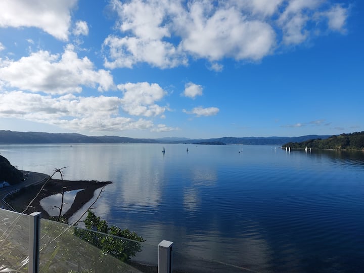 Great Views, Modern Home With Walk To City - Wellington