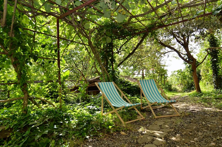 Etna-sea Farm Stay: Typical Sicilian One Room Flat - Linguaglossa