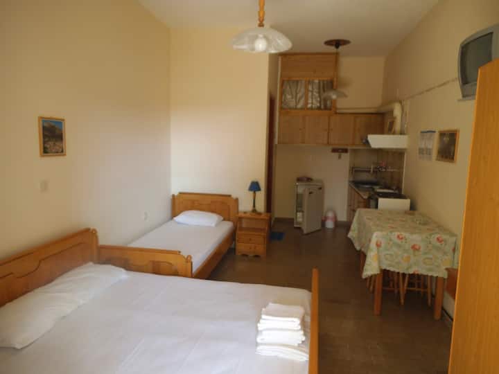 Villa Xenos - Studio ( 2 Persons ) - 자퀸토스