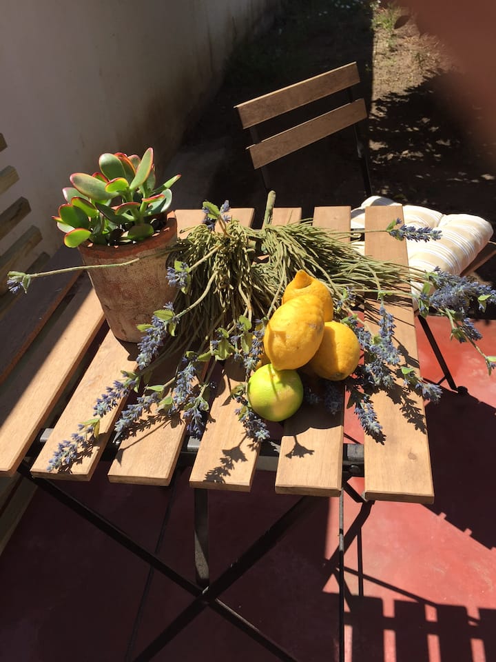 Casa Dos Limoeiros (Lemon Tree House) - Vila Nova de Santo André