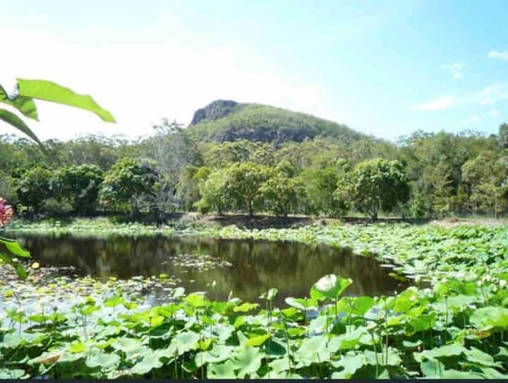 Glass House Mountains B&b Cottage - Glass House Mountains