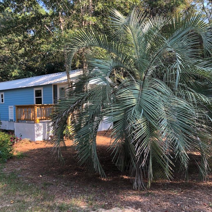 Palm House Cottage - Grayton Beach, FL