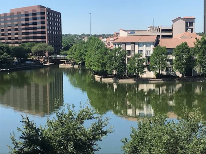 Bright 1bd Loft With Views - Irving, TX