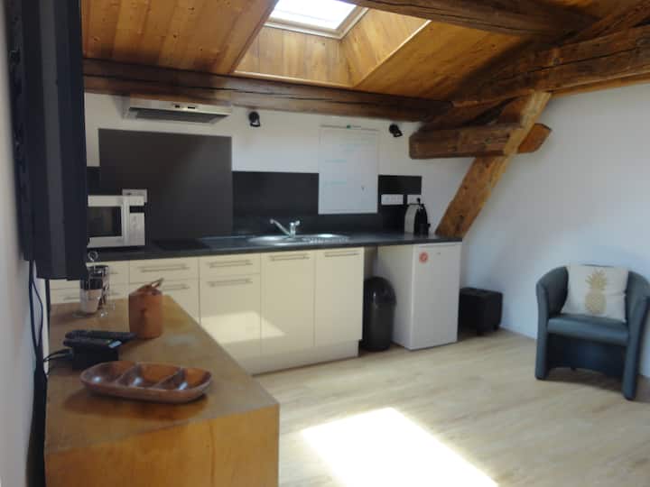 Appart à La Campagne à 5' De La Gare Tgv - Parc Jouvet de Valence