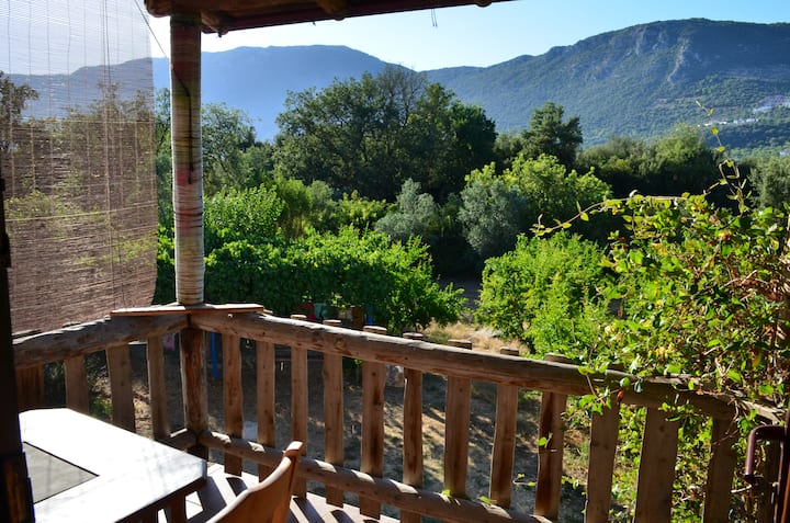 Kaş ÇUkurbağ Köyünde çIftlik Evi Ophrys Lycia 2 - Kaş