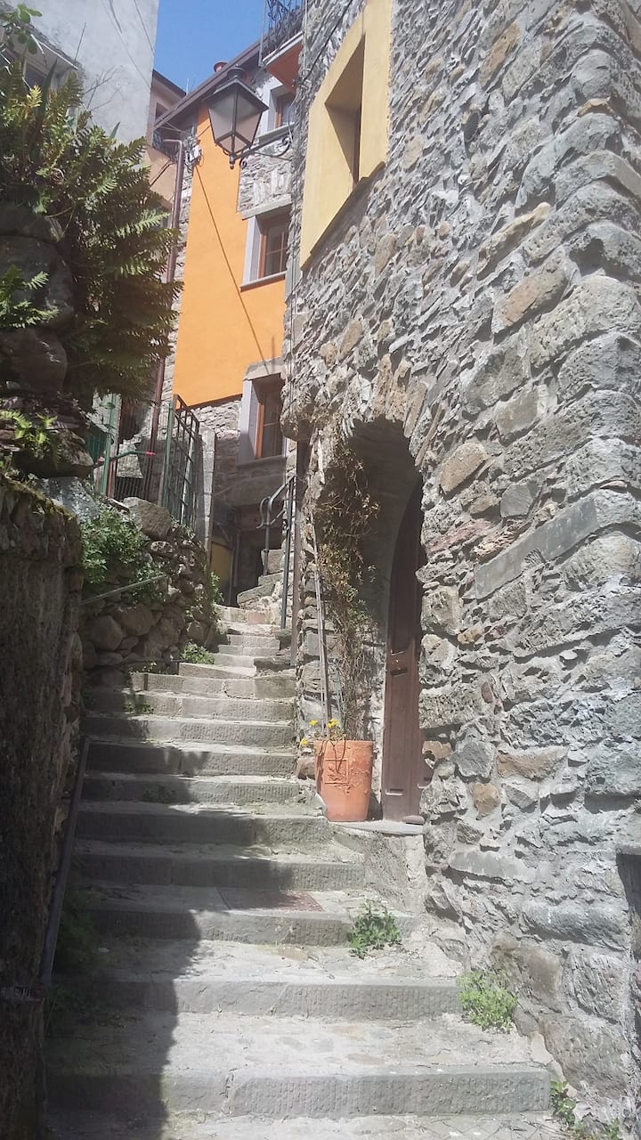 Il Giostro 2 Biassa (Sp) Citra 011015-lt-2782 - Cinque Terre