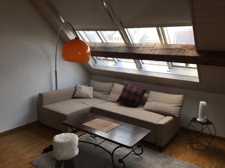 Last Floor Cosy Appartement, Near Railway Station - Genève