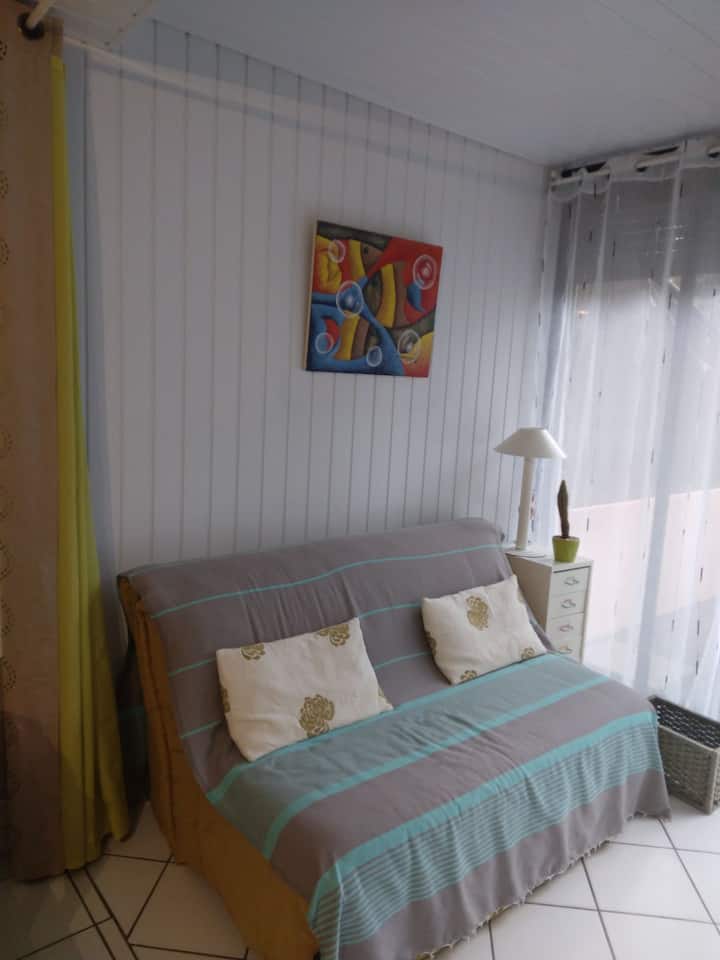 Maison T2 Dans Les Pins - Lacanau Océan