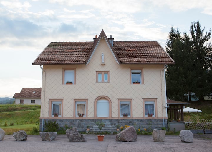 Studio à L'ancien Presbytère - Lac de Longemer