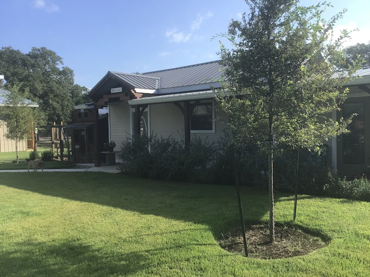 Red Rooster - Fresh Eggs For Breakfast! - Wimberley