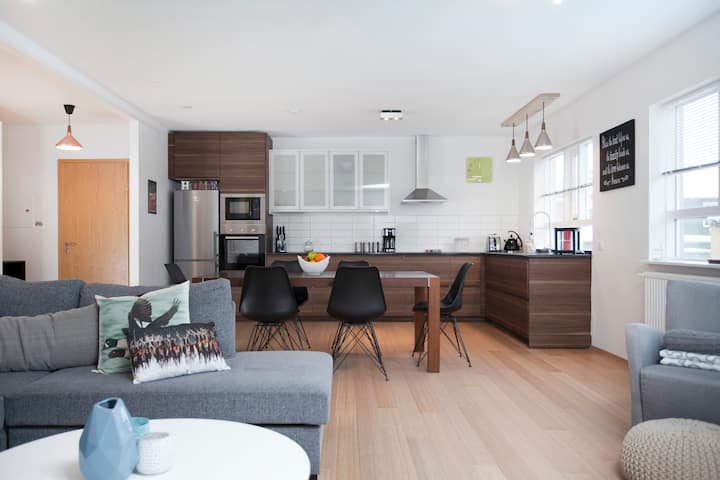 Downtown Luxury Flats - City Center - Reykjavík