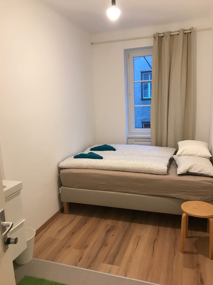 Facing Quiet Green Court Near Opera+privat Shower - Vienna