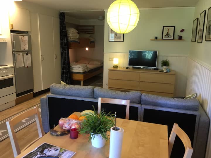 Centrala ÅRe Björnen. Gångavstånd Till Det Mesta! - Åre