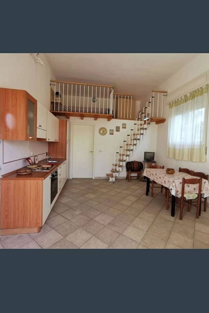 La Casina Del Mare - San Vincenzo