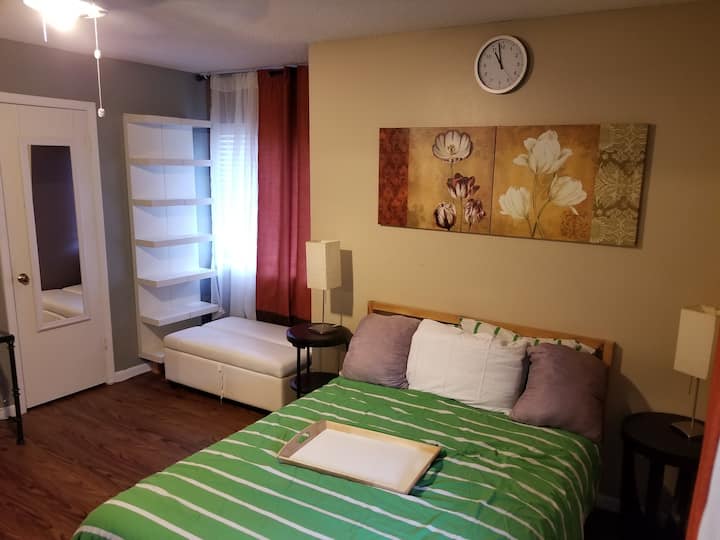 Cozy 1/1 Right Next To Usf, Busch Gardens!!! - Temple Terrace, FL