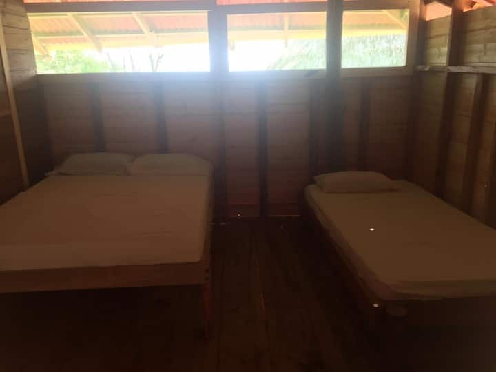 Dahalandia - Cartagena