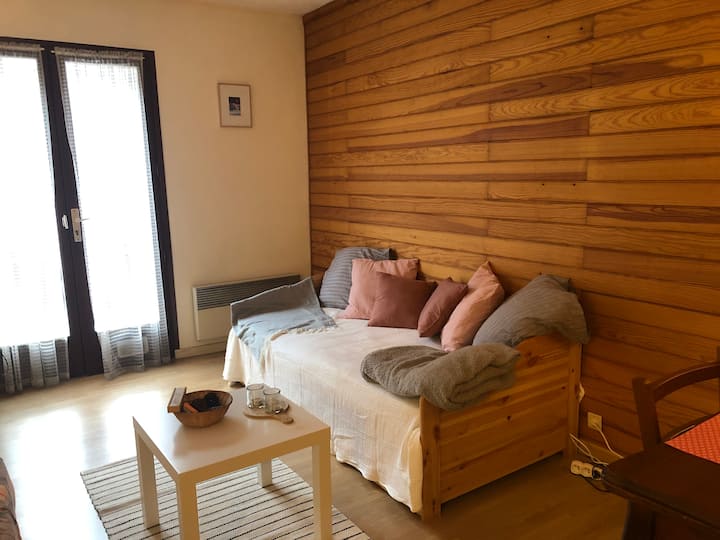 Studio Chaleureux Saint Etienne De Tinée-auron - Saint-Étienne-de-Tinée