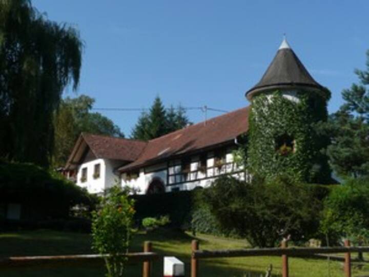 Gite De La Tour Domaine D'estary - Elzas